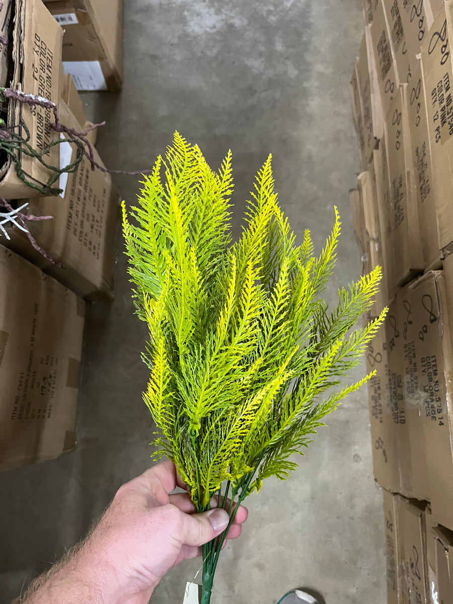Yellow Australian Fern – Designs by Dylan